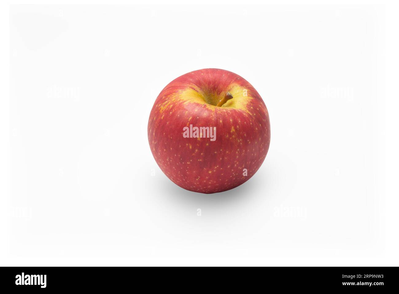 Single perfect fresh organic Ambrosia apple with water drop and leaf on ...