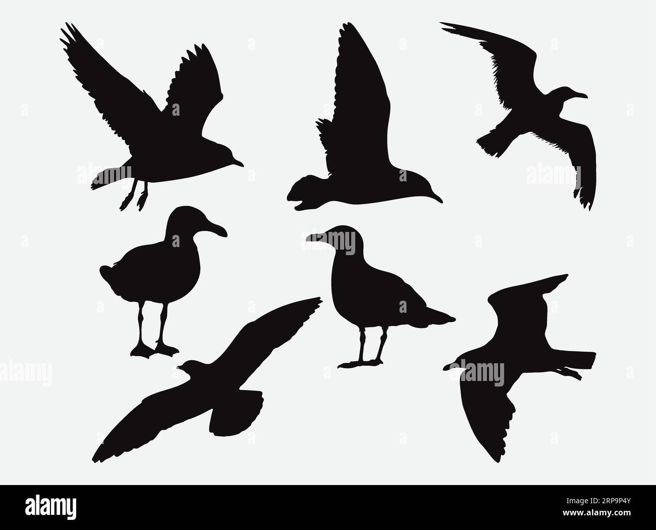 Graceful Seagull Silhouettes, A Comprehensive Collection of Coastal ... Graceful Seagull Silhouettes, A Comprehensive Collection of Coastal ...