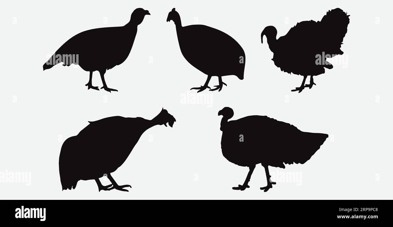 Graceful Turkey Silhouettes, A Captivating Collection of Majestic Bird ...