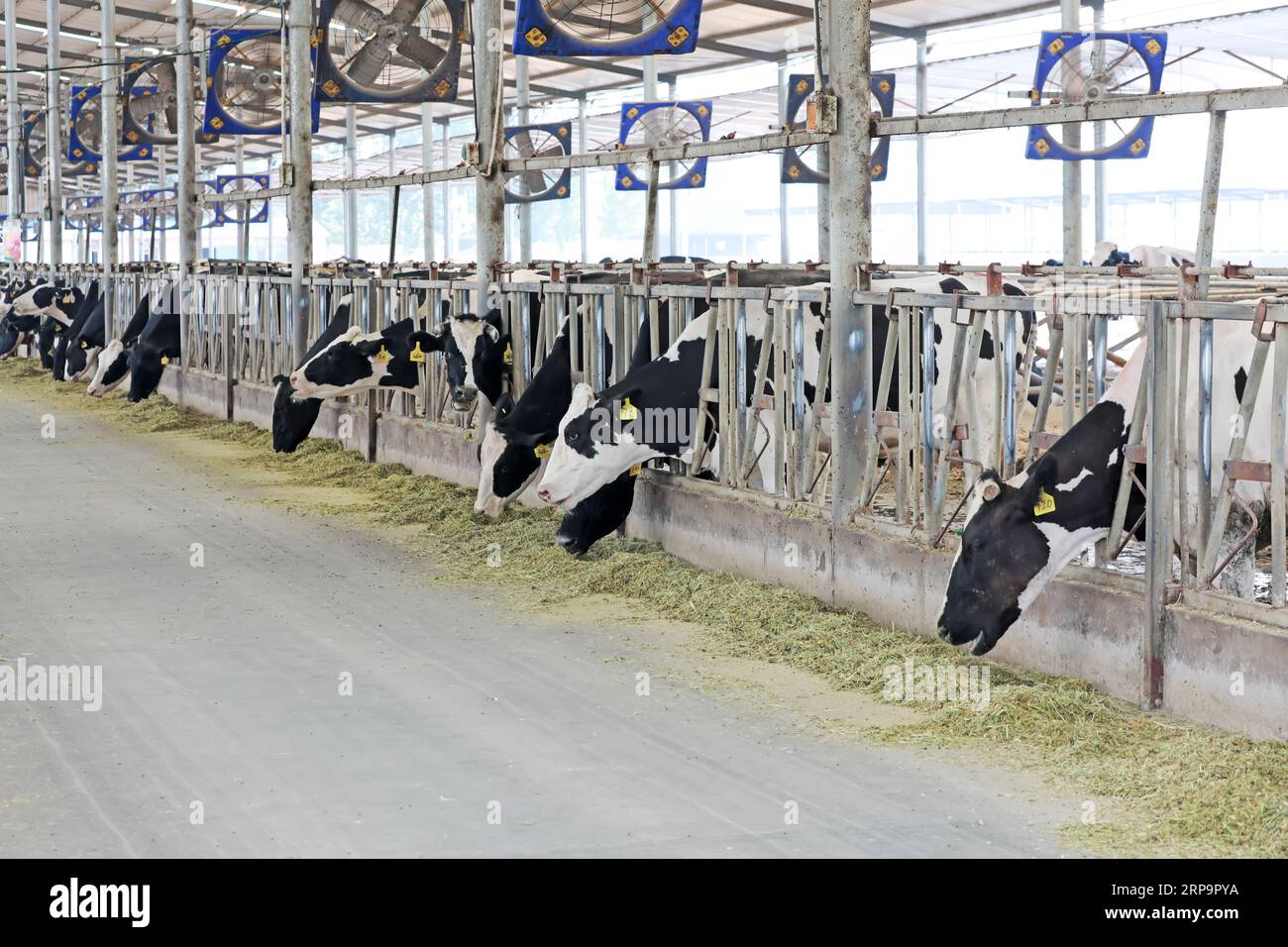 Ecological farms hi-res stock photography and images - Alamy