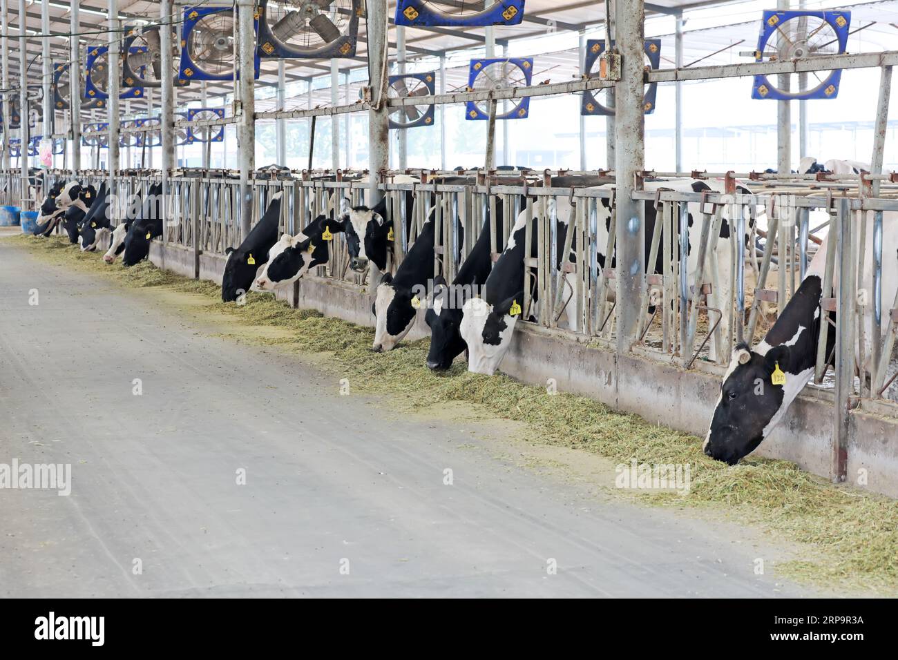 Ecological farms hi-res stock photography and images - Alamy