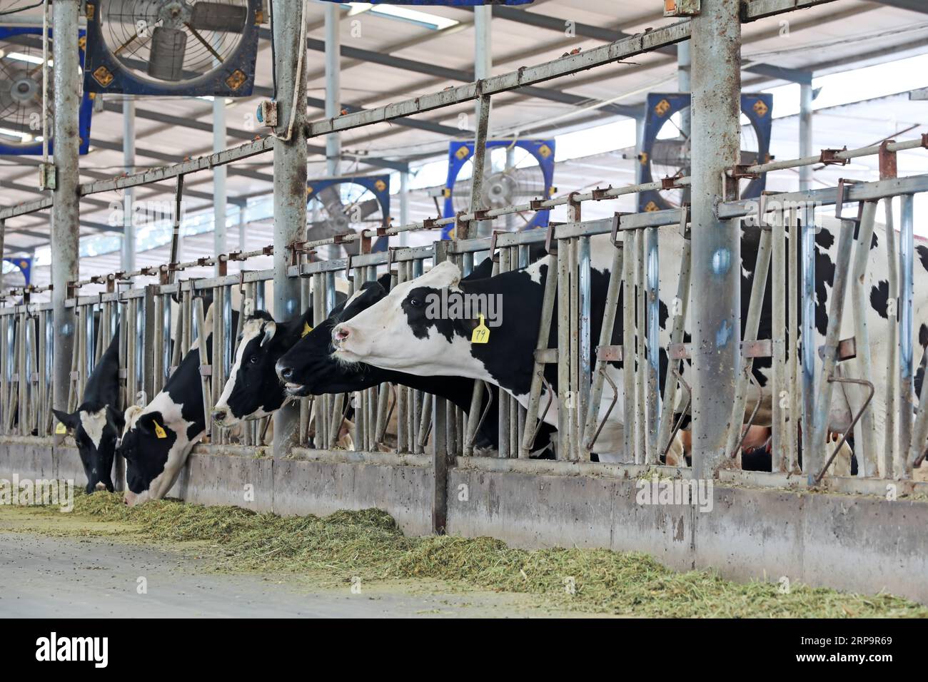 Ecological farms hi-res stock photography and images - Alamy