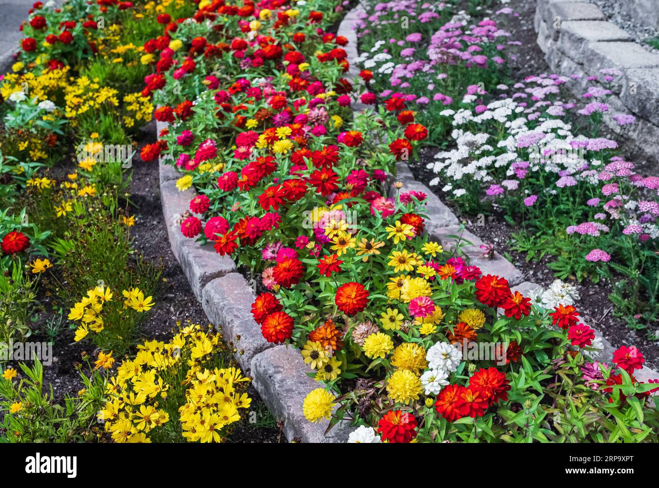 Beautiful natural form hi-res stock photography and images - Alamy