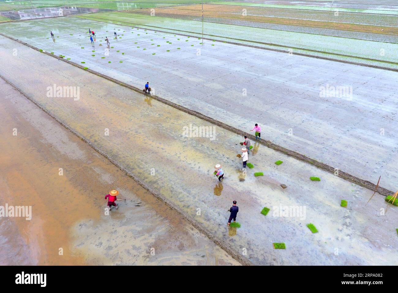 Li jianxin hi-res stock photography and images - Alamy