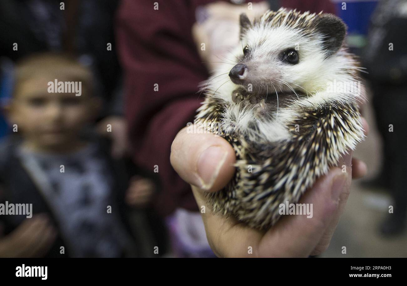 Xinhua zou hi-res stock photography and images - Alamy
