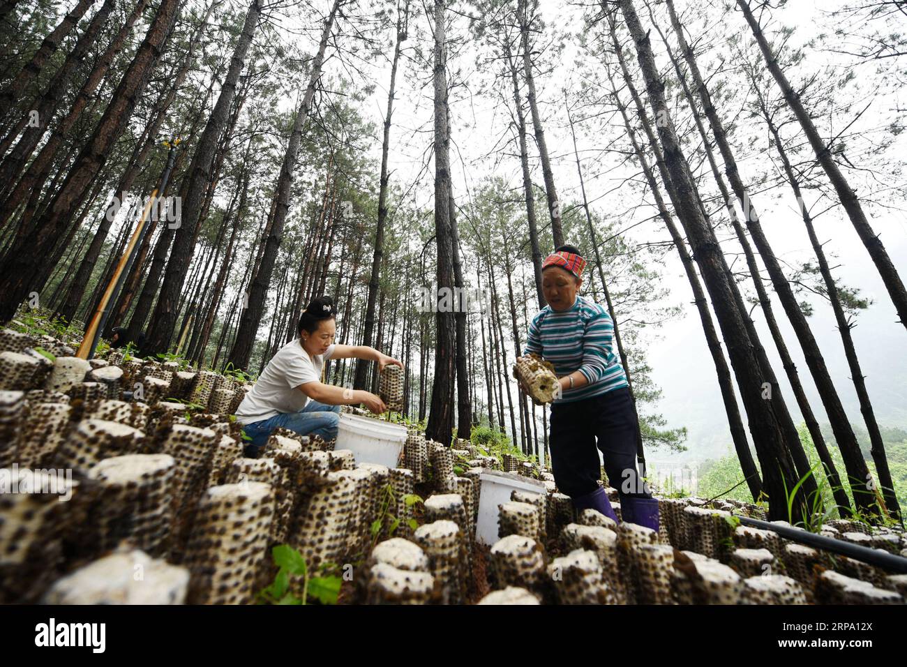 Idle lands hi-res stock photography and images - Alamy Idle lands hi-res stock photography and images - Alamy