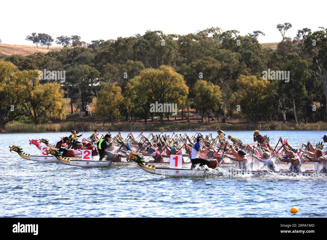 Australian dragon boat hi-res stock photography and images - Alamy