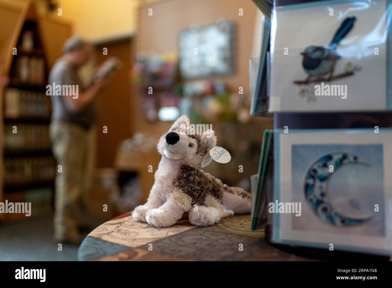A red wolf stuffed toy sits in a gift shop at the Coastal North ...