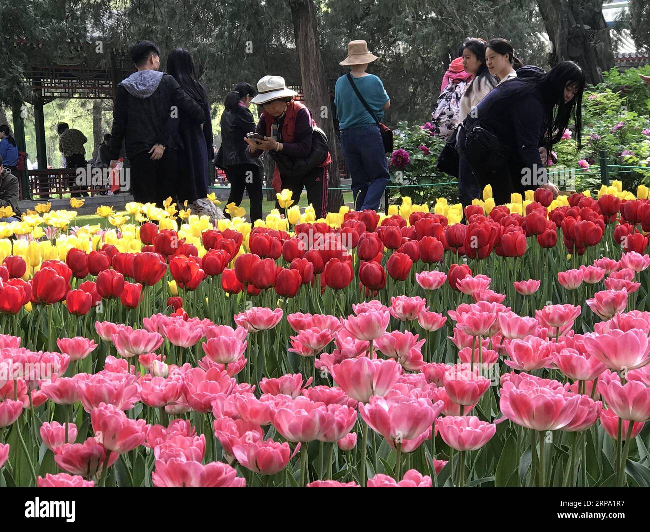 Haijing hi-res stock photography and images - Alamy