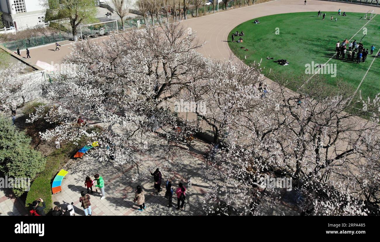 Harbin engineering university hi-res stock photography and images - Alamy