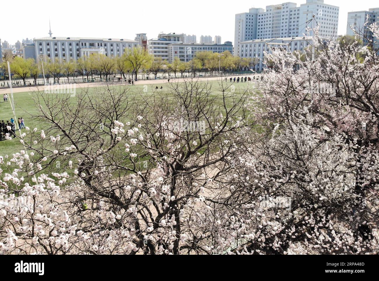 Harbin engineering university hi-res stock photography and images - Alamy