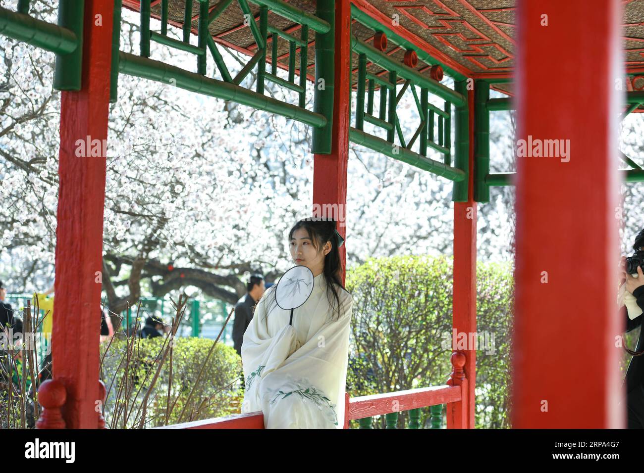 China heilongjiang harbin girl hi-res stock photography and images - Alamy