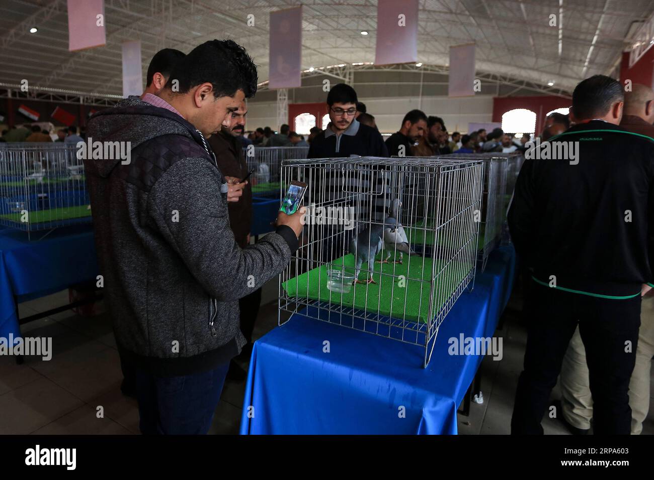 (190426) -- GAZA, April 26, 2019 -- People view pigeons at a pigeon ...