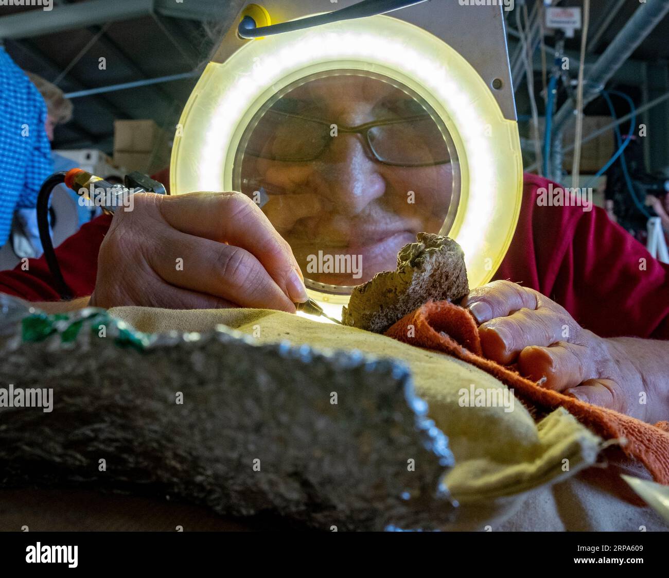 Cleaning Found Bones at Crystal Twyman blog