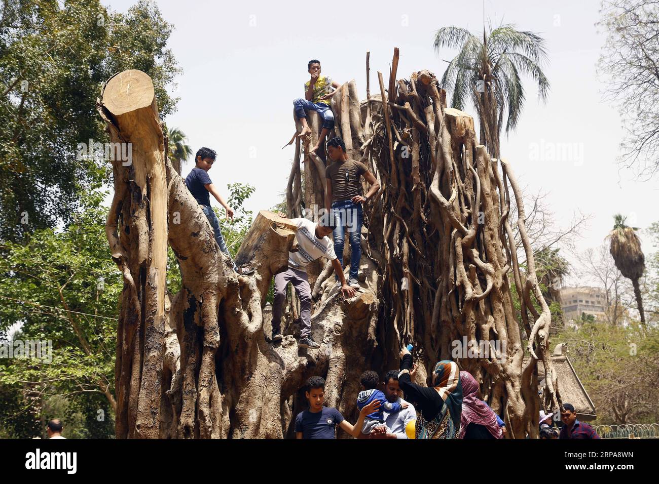 Sham el nessim hi-res stock photography and images - Alamy