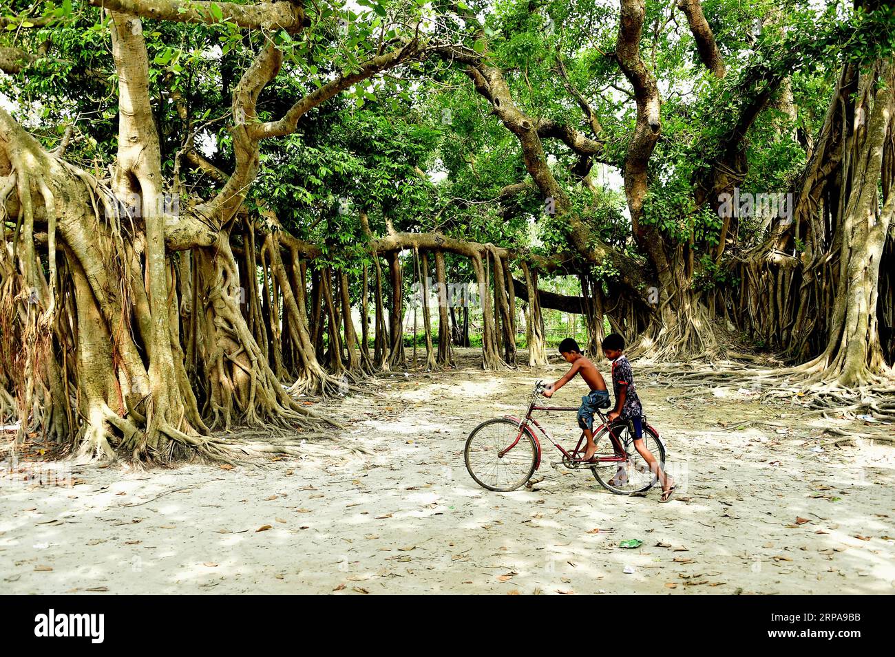 (190430) -- DHAKA, April 30, 2019 -- Two children ride a bicycle under ...