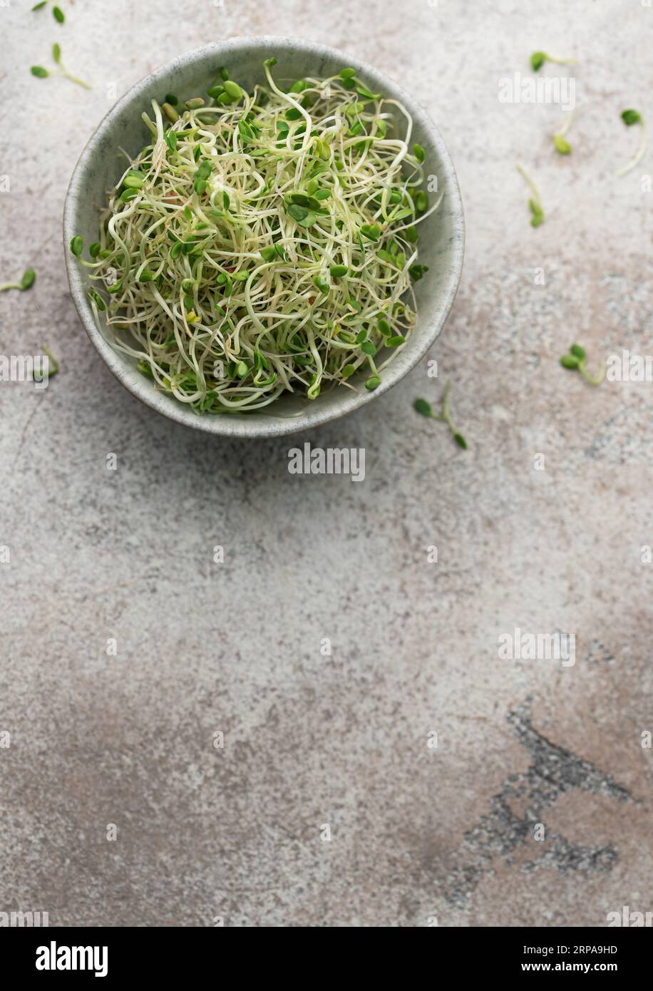 Microgreens grown in a jar. Healthy Eating Stock Photo - Alamy