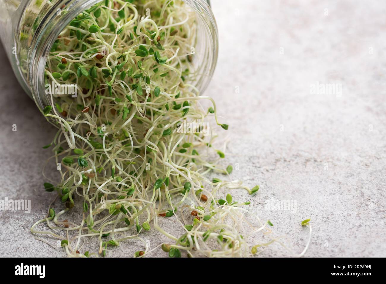 Microgreens grown in a jar. Healthy Eating Stock Photo - Alamy
