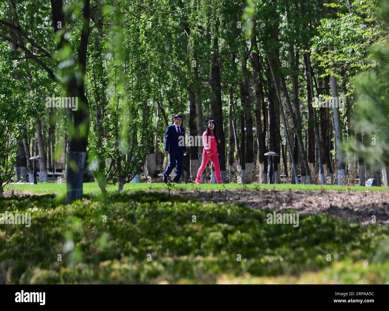 International environmental cooperation hi-res stock photography and ...