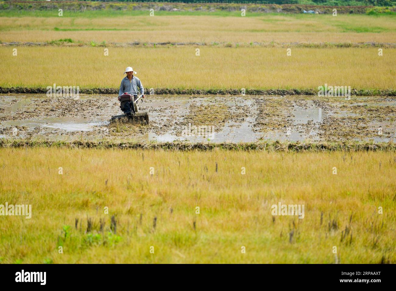 Xintang township hi-res stock photography and images - Alamy