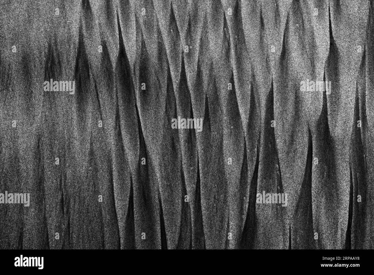 Background: nature's art graphic resource. A monochrome scene of black ...