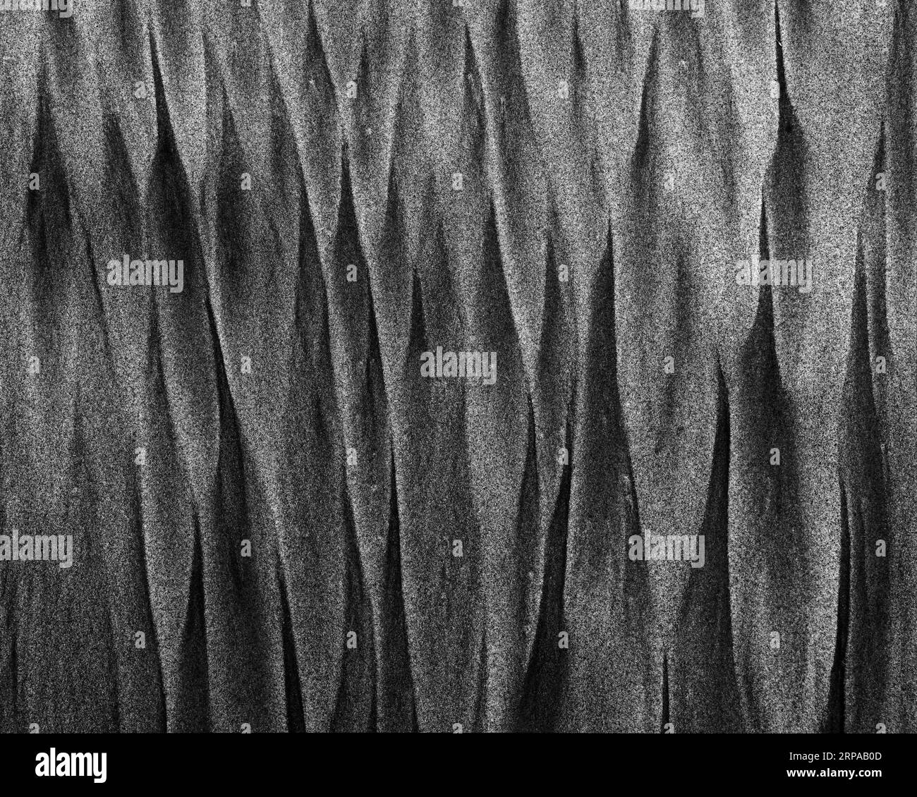 Background: nature's art graphic resource. A monochrome scene of black ...