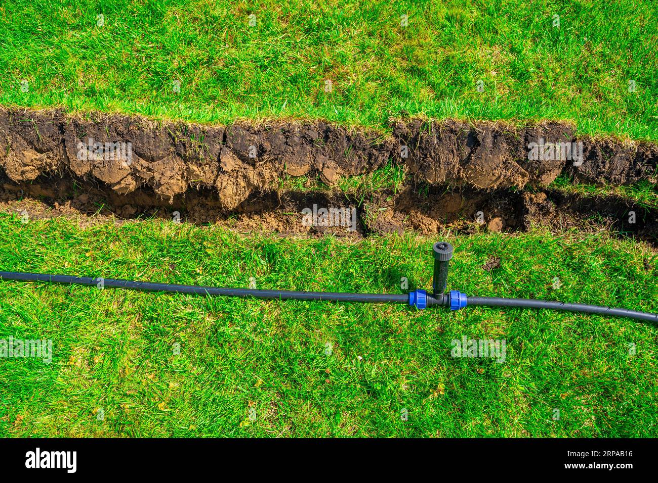 Installing a pop-up sprinkler in the lawn, close-up. Grass Irrigation ...