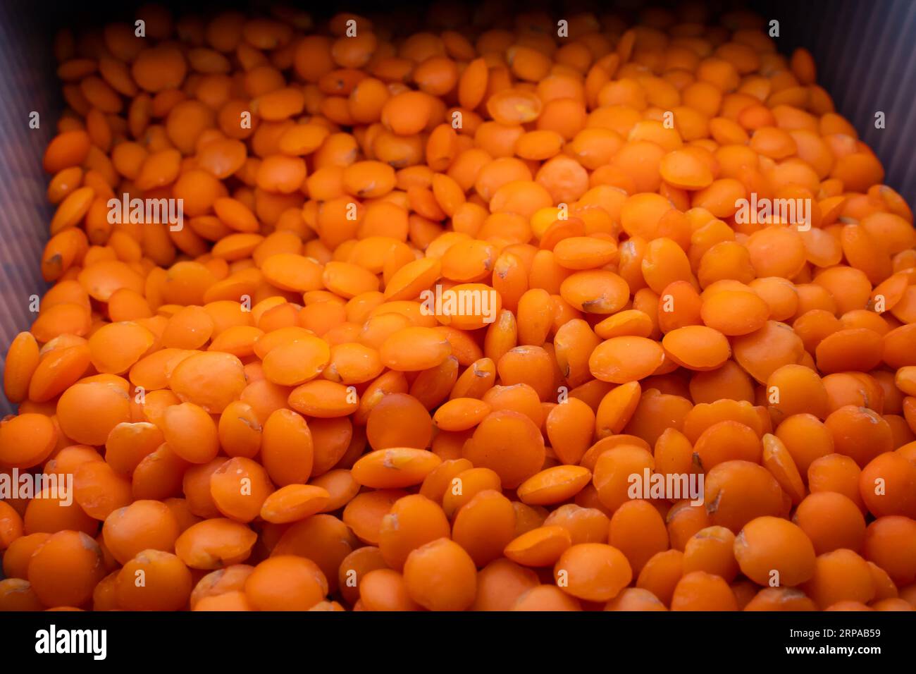 Orange lentils in a food container close-up. Healthy cereal with a high ...