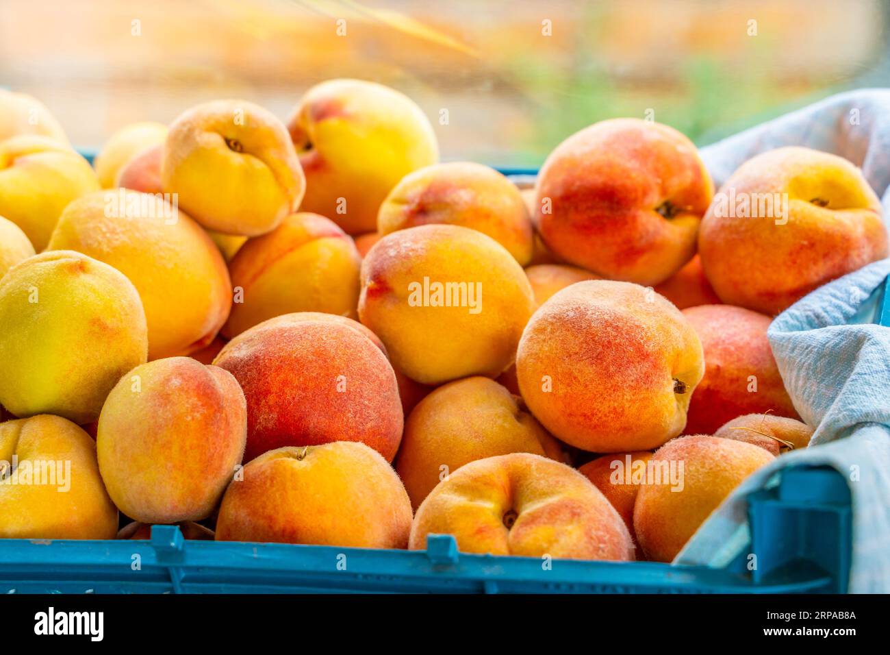 Ripe beautiful peaches close hi-res stock photography and images - Alamy