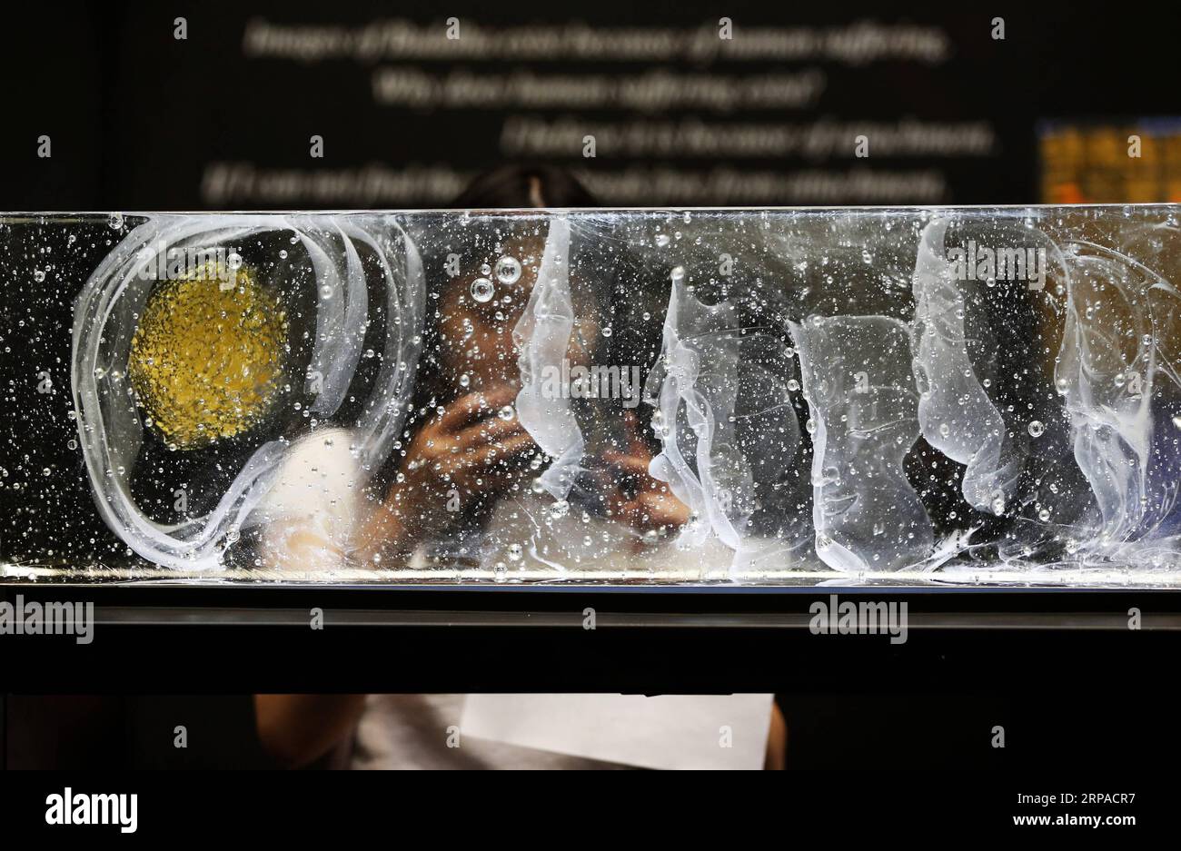 (190504) -- COSTA MESA, May 4, 2019 (Xinhua) -- A visitor takes photos ...