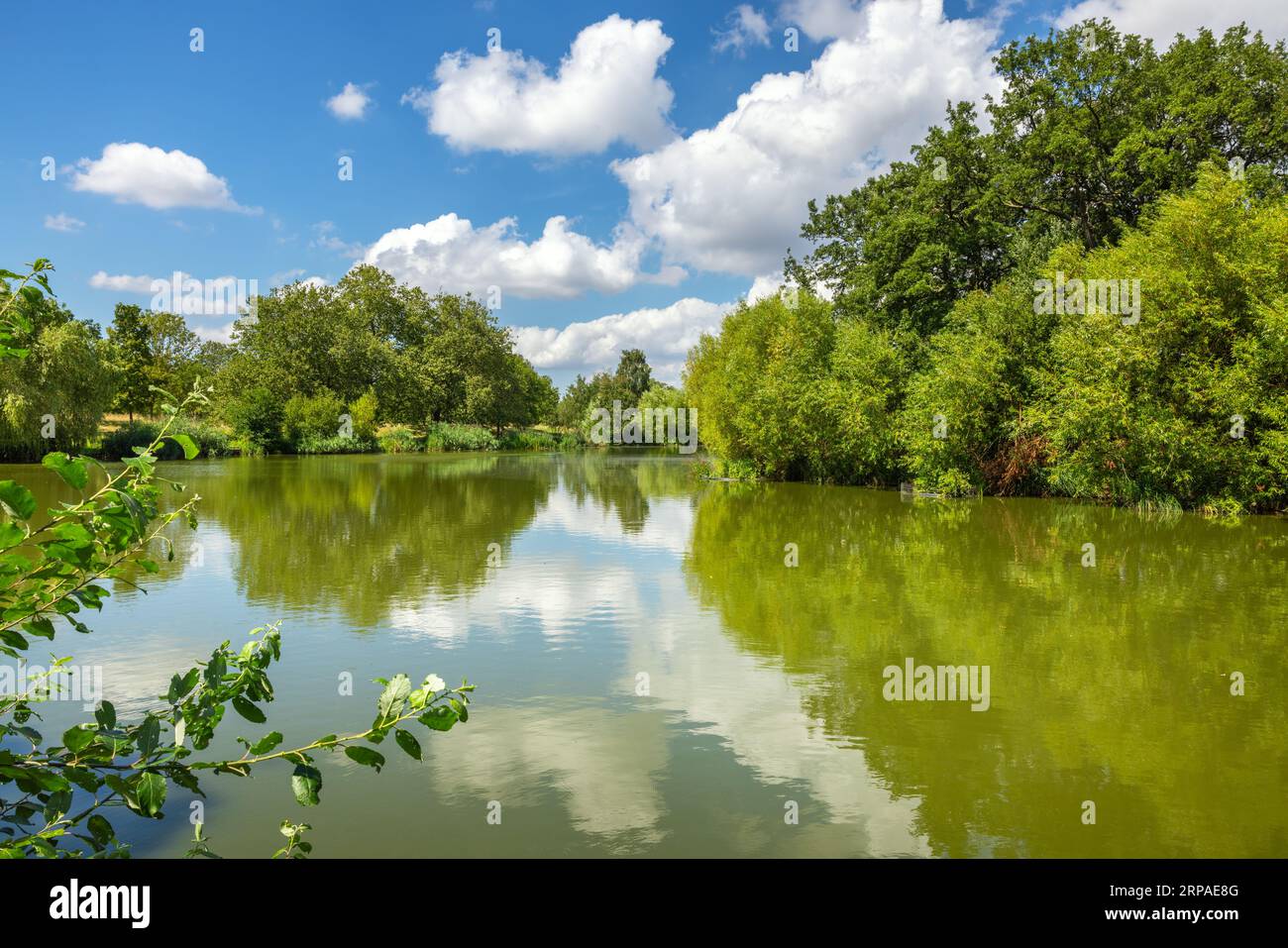 Waterfront of Mount Pond in Clapham Common park. London. England, UK ...