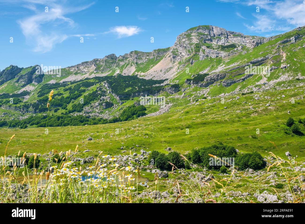 Natural landscape with little Lake and mountain range in Durmitor ...