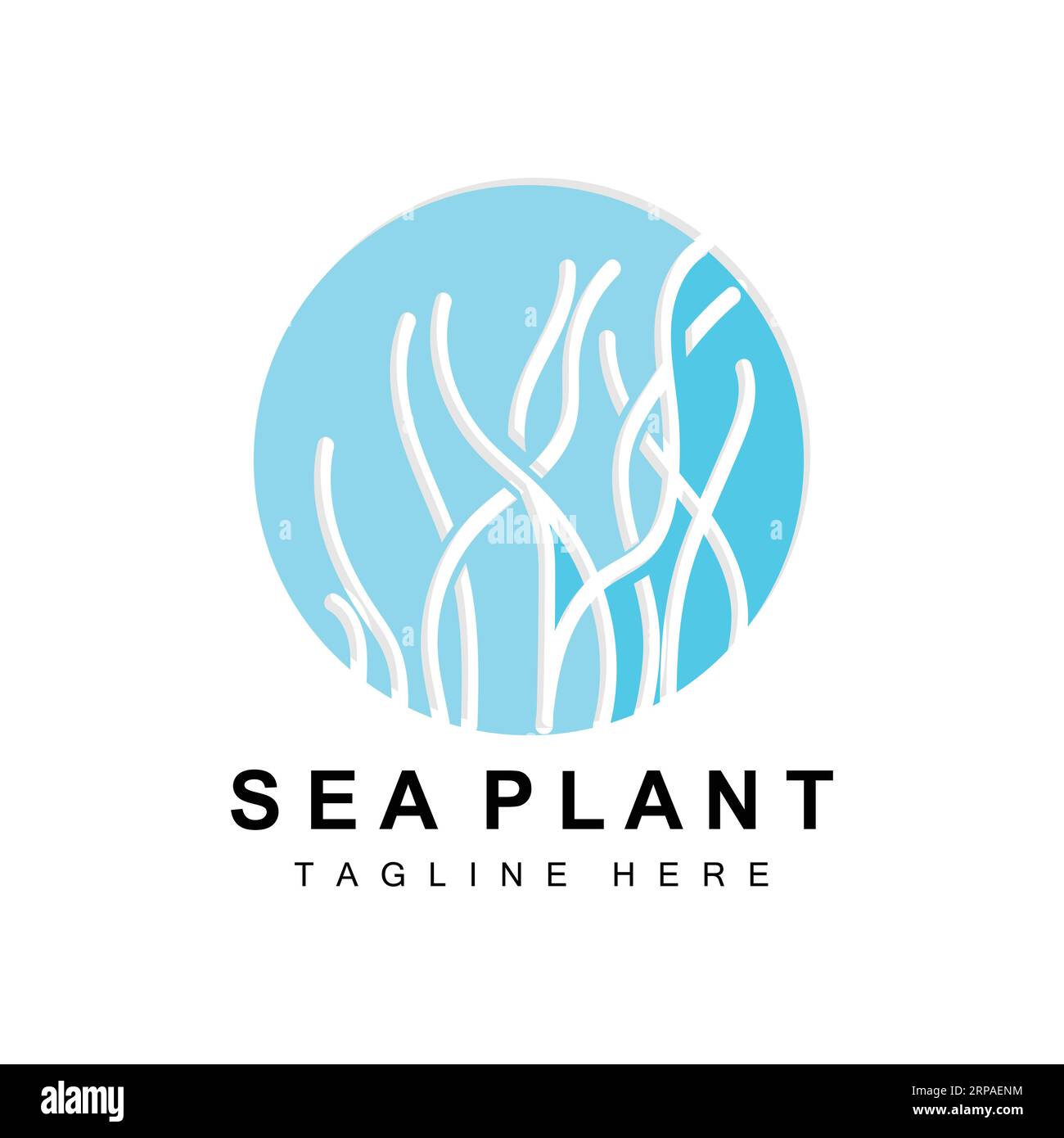 Atlantic ocean algae Stock Vector Images - Alamy