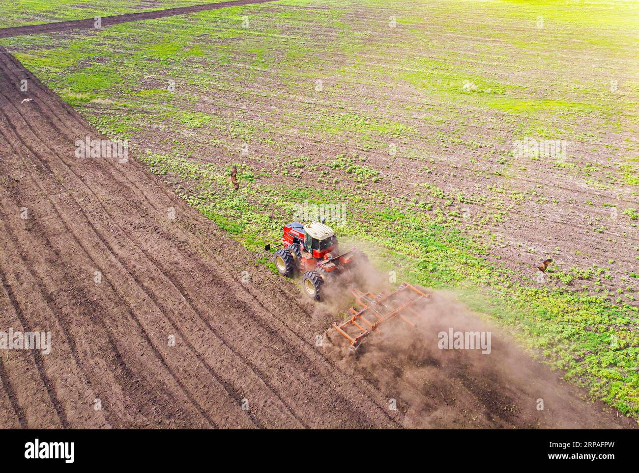 Aerial view of agricultural tractor doing stubble field fall tillage on ...