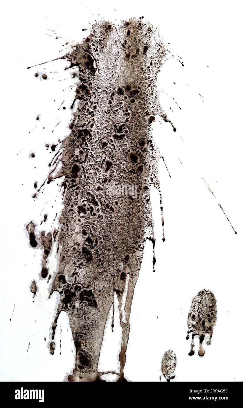 Mud splash isolated on white background Stock Photo - Alamy