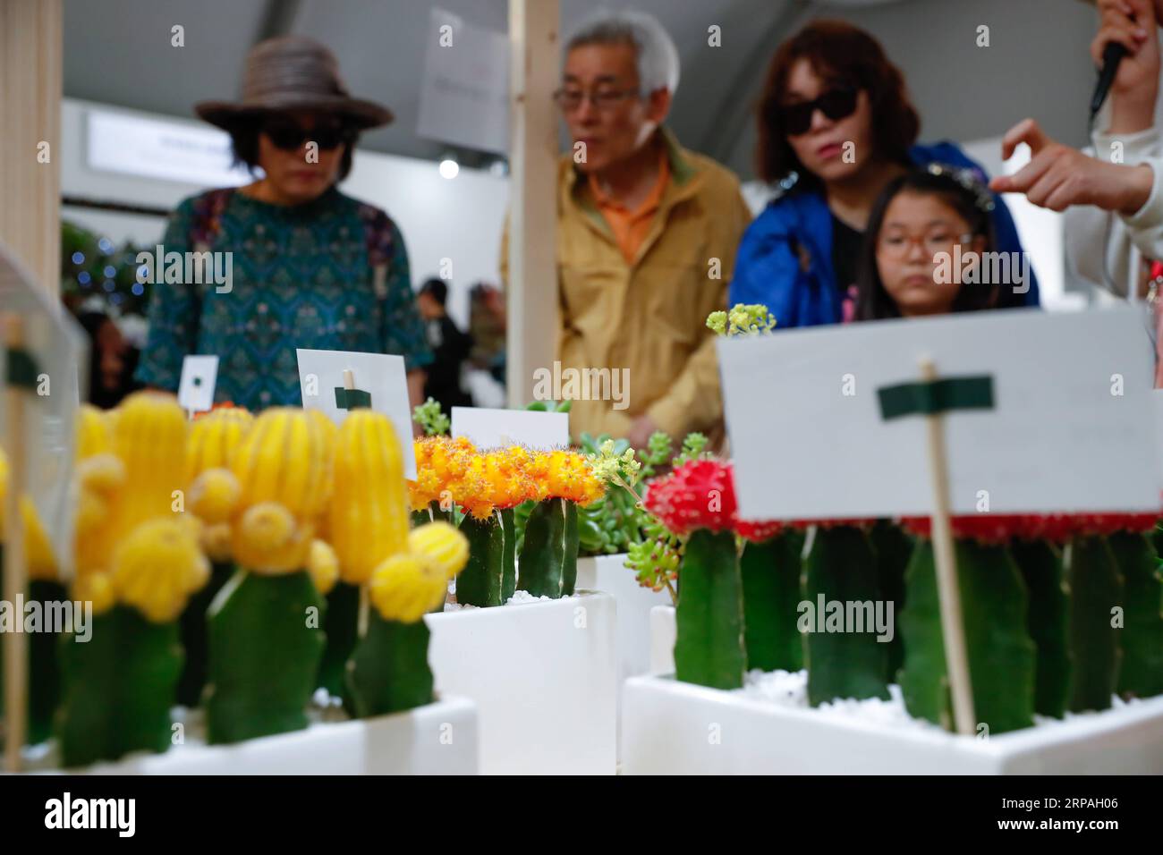 Goyang international flower festival hi-res stock photography and ...