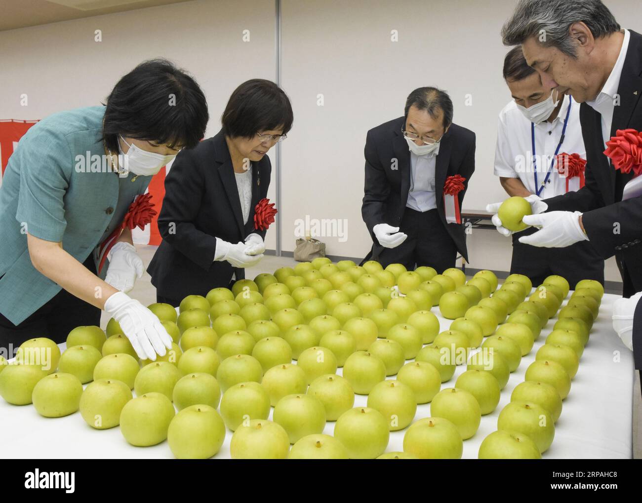 Examiners sort and select the best-looking Asian pears to gift to the ...
