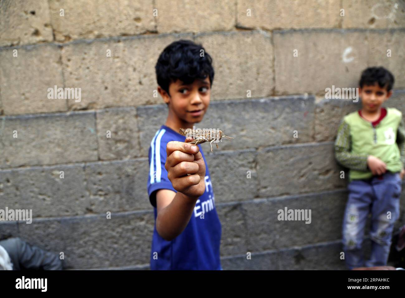 (190511) -- SANAA, May 11, 2019 -- A boy shows a locust he caught on a ...