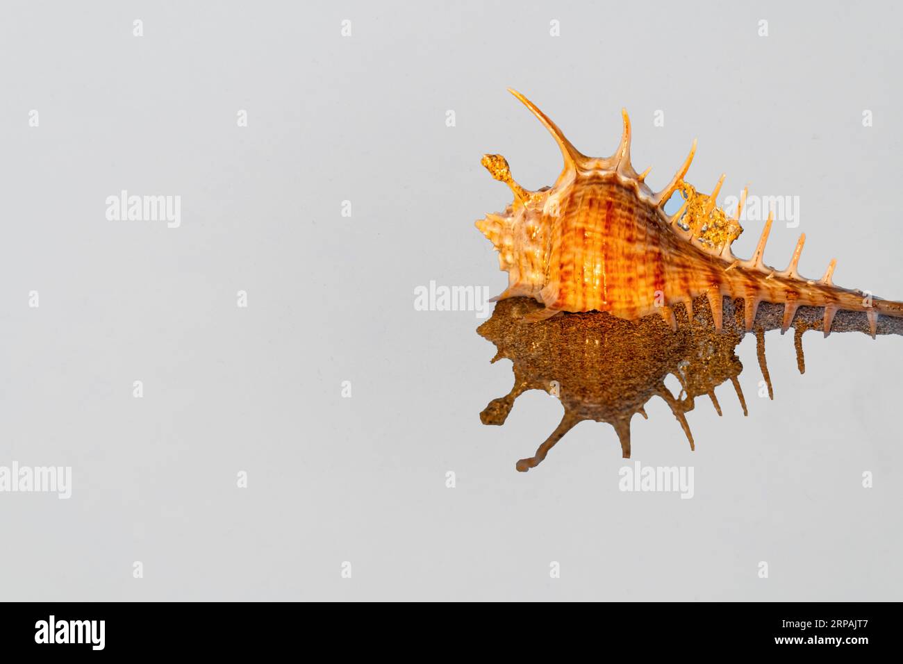 Al satti beach hi-res stock photography and images - Alamy