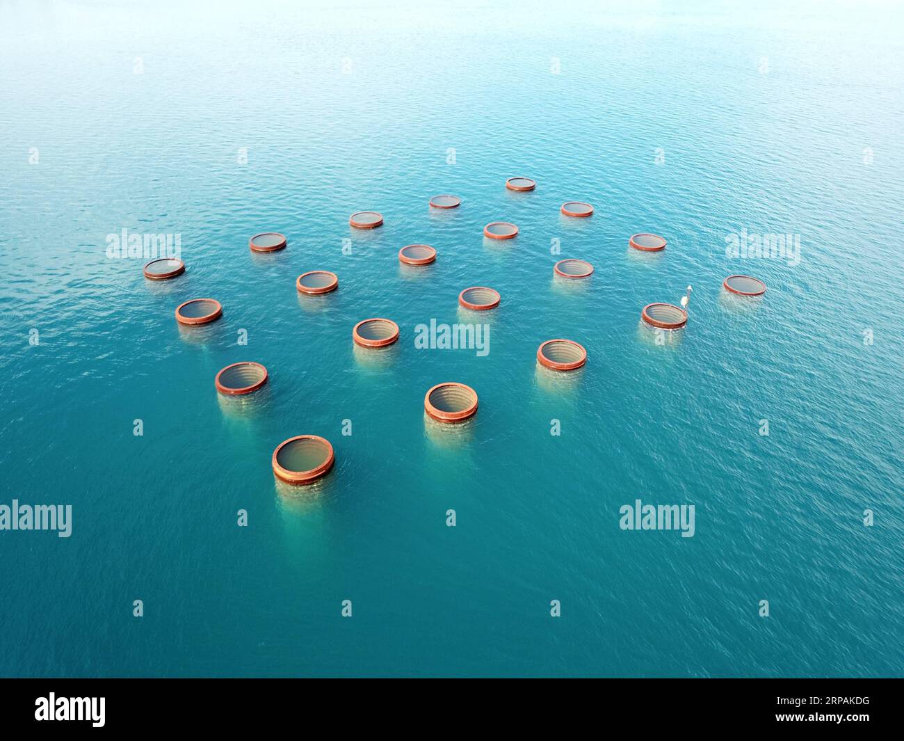 Piling work hi-res stock photography and images - Alamy