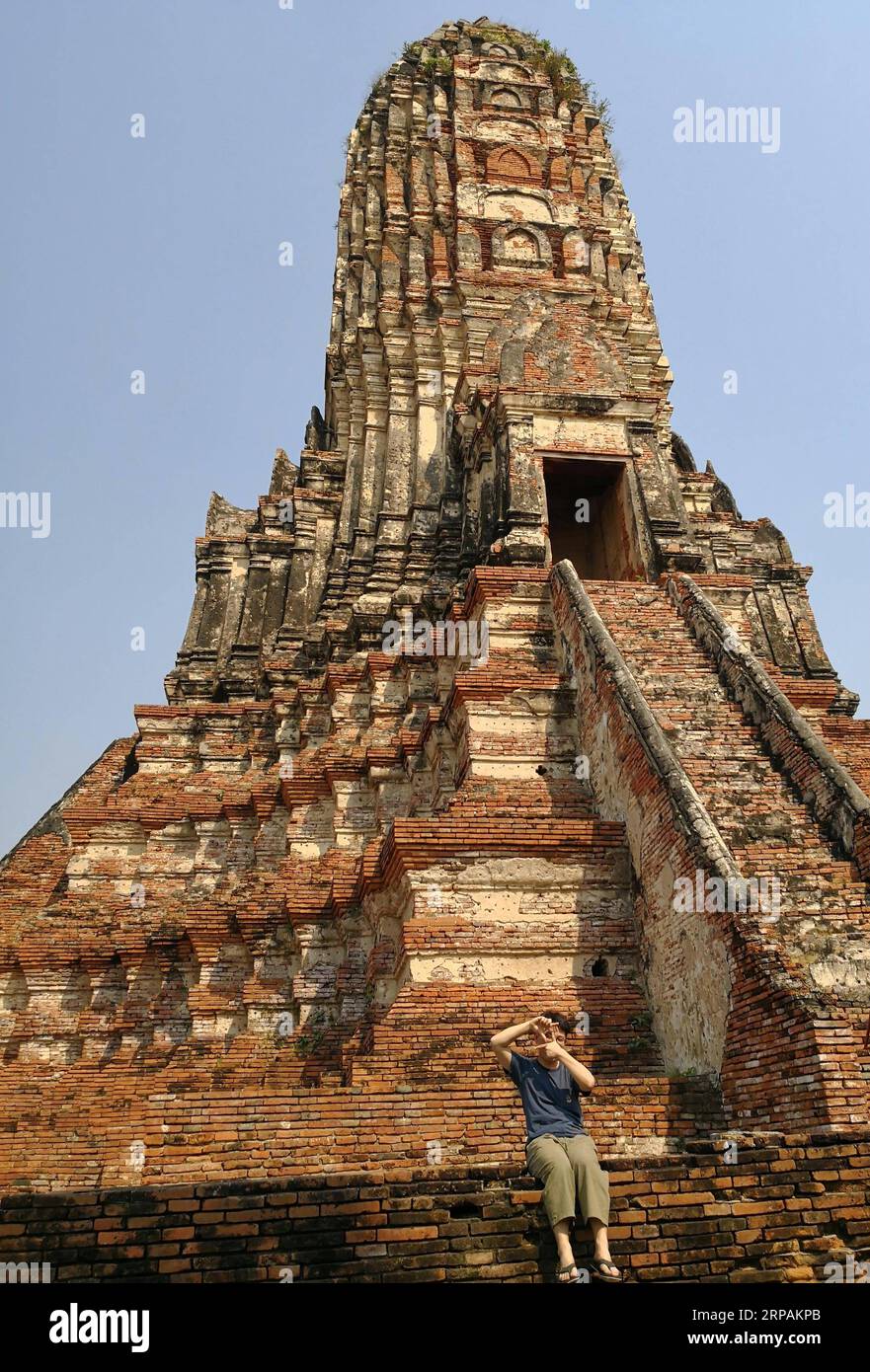 Ition study hi-res stock photography and images - Alamy