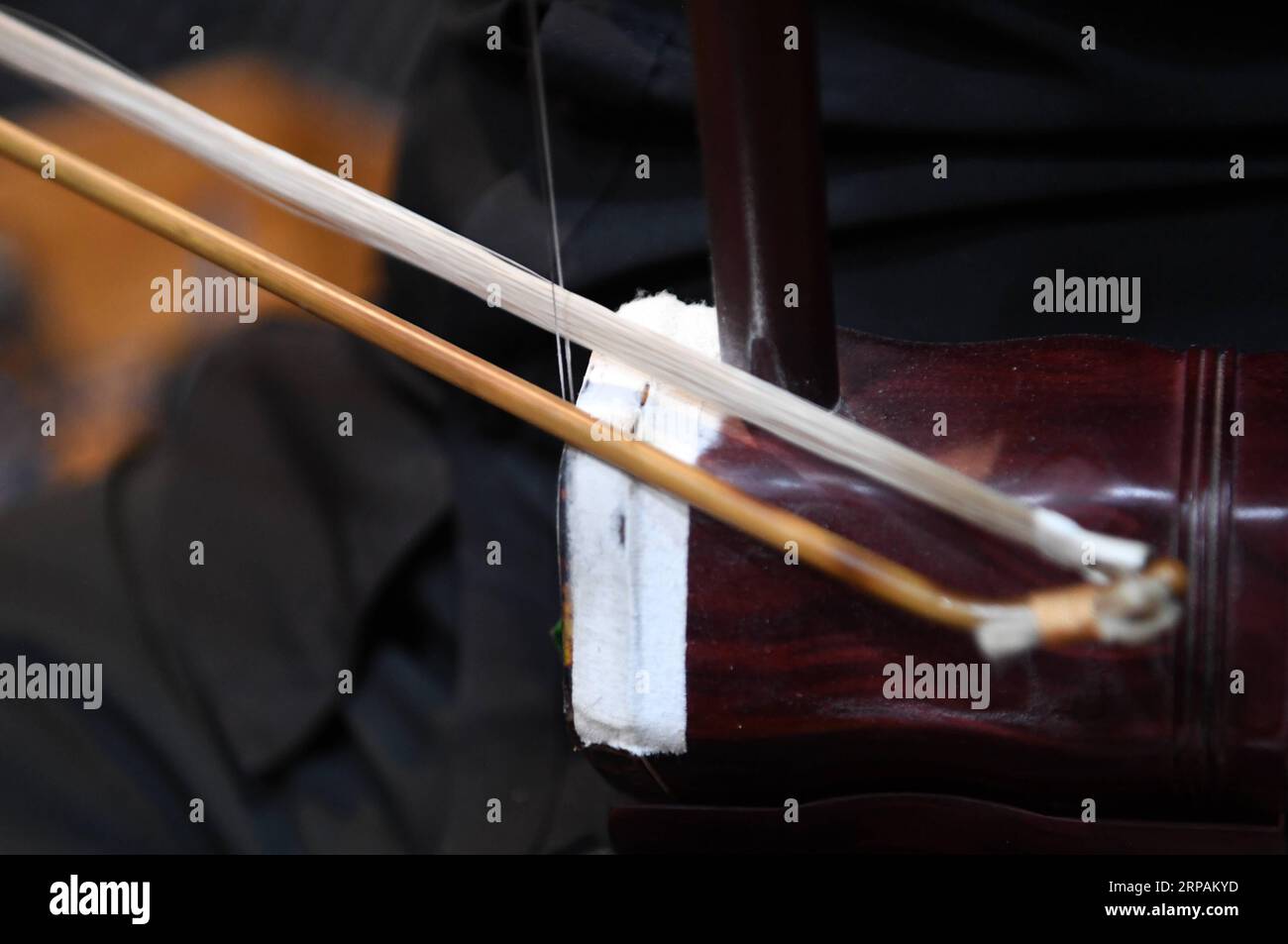 Stringed instrument bow bowed hi-res stock photography and images - Alamy