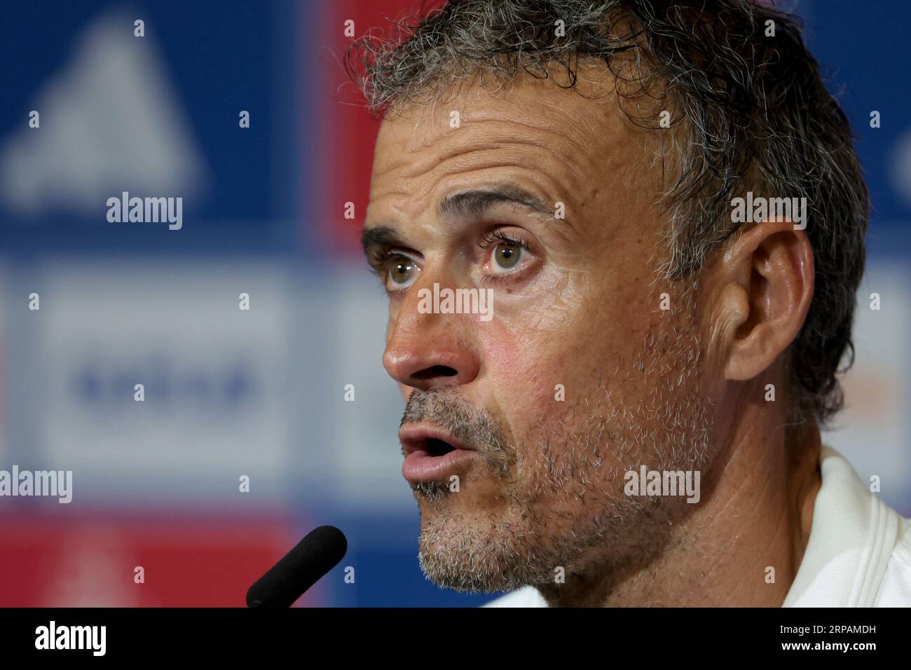 Lyon, France. 03rd Sep, 2023. PSG coach Luis Enrique during the press ...