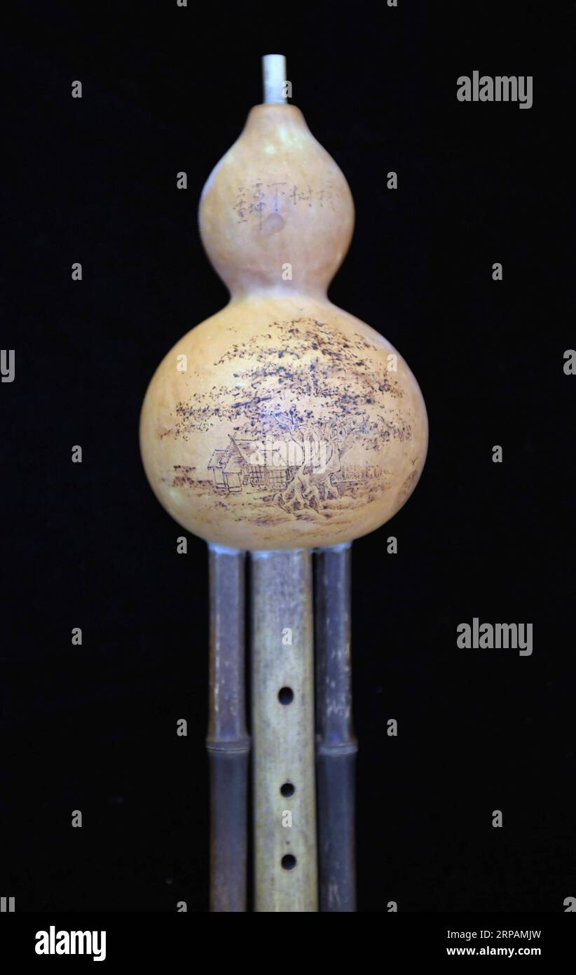 Free reed wind instrument hi-res stock photography and images - Alamy