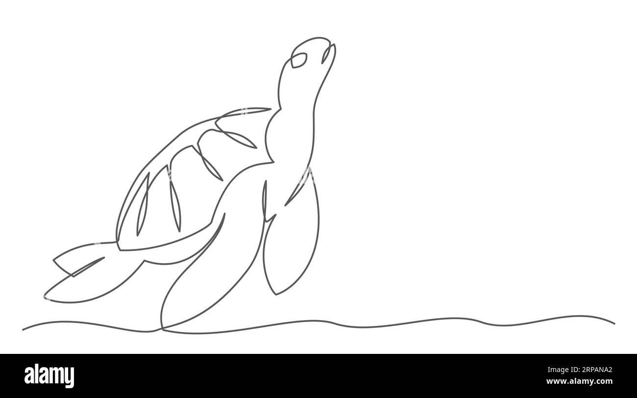 Turtle One line drawing isolated on white background Stock Vector Image ...