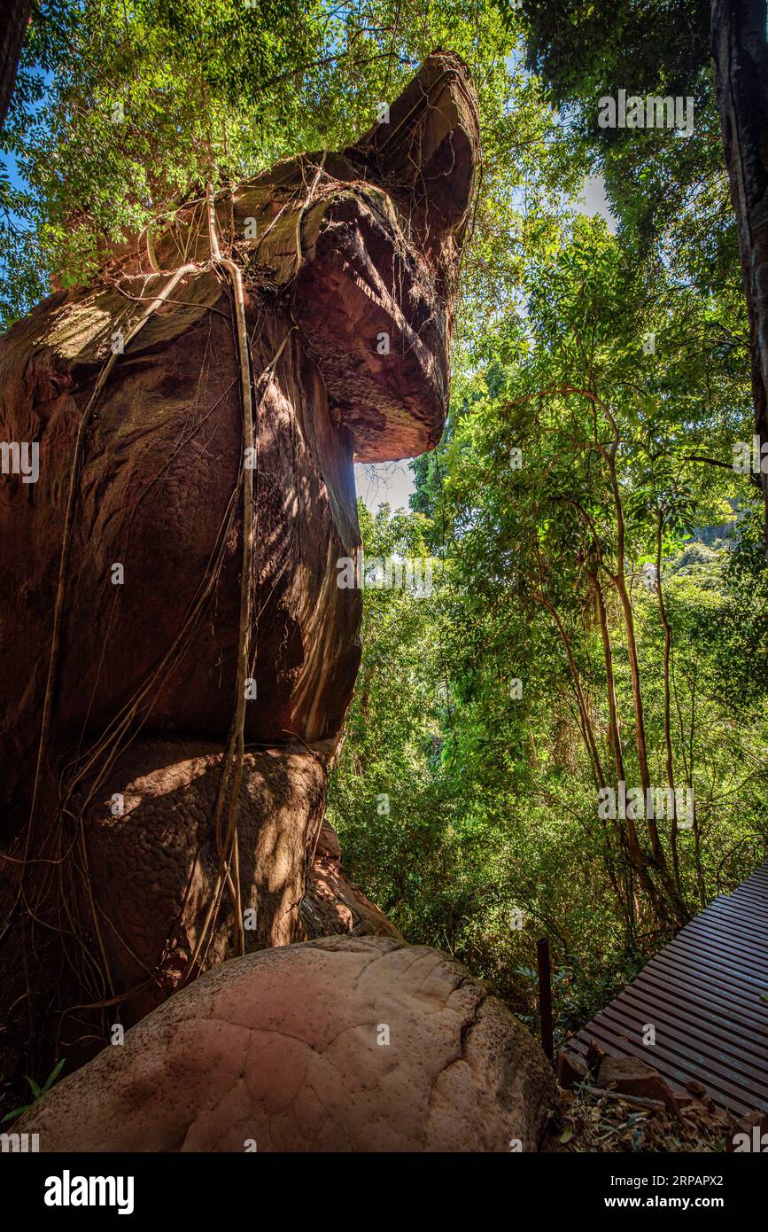 The beautiful scenery of the Nakee Cave, at Phu Langka National Park ...