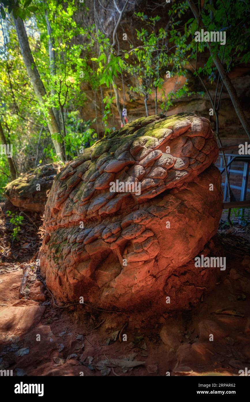 The beautiful scenery of the Nakee Cave, at Phu Langka National Park ...