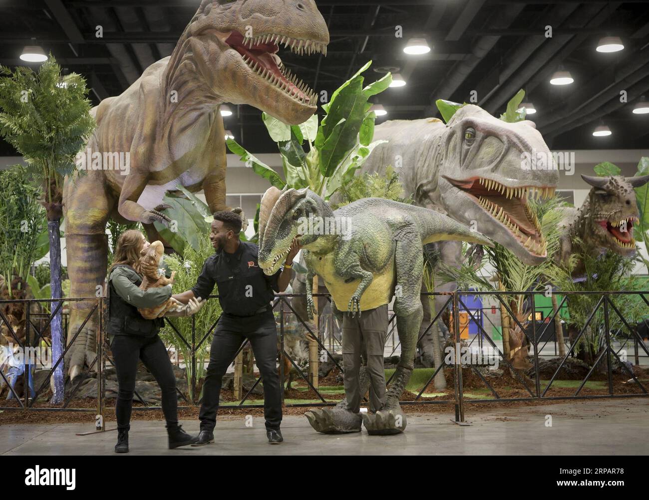 Realistic dinosaurs hi-res stock photography and images - Alamy