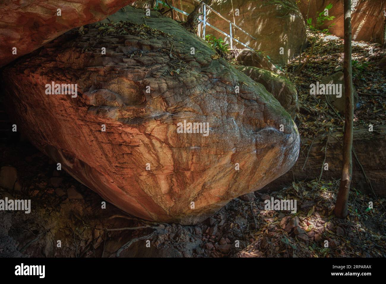 The beautiful scenery of the Nakee Cave, at Phu Langka National Park ...