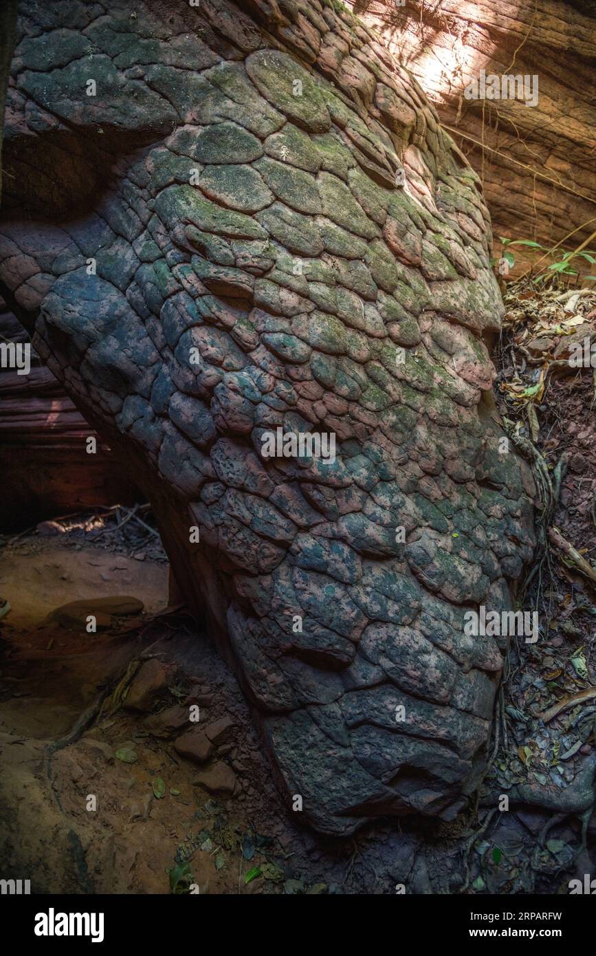 The beautiful scenery of the Nakee Cave, at Phu Langka National Park ...